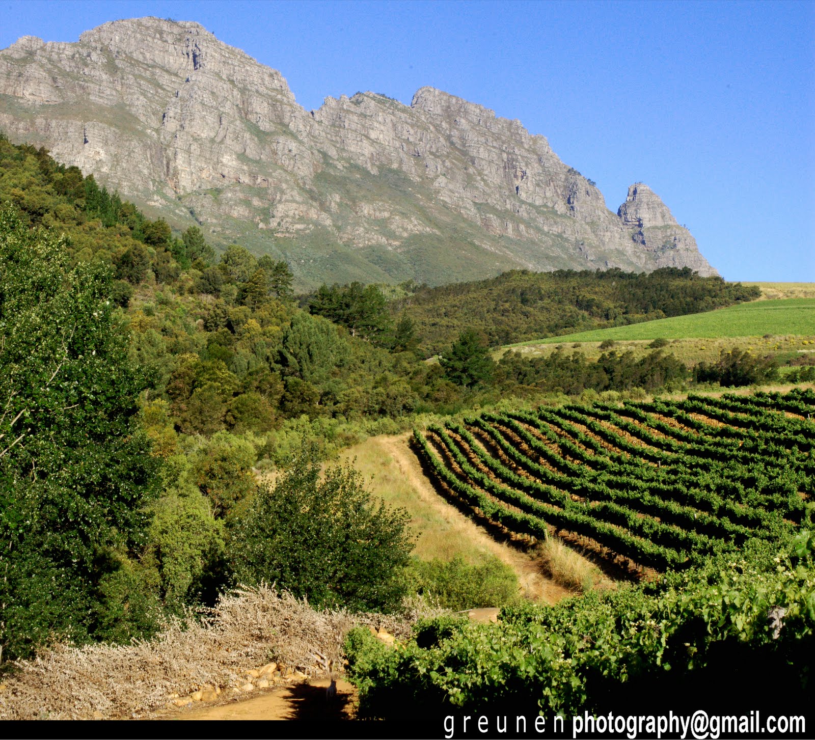 Thinking Out Loud: Closer to Home: Knorhoek’s Towerbosch Earth Kitchen