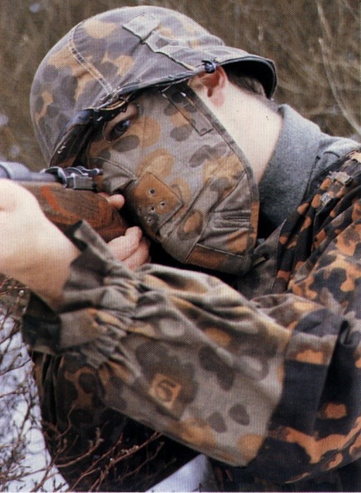 Grey Ops: Fall Camouflage