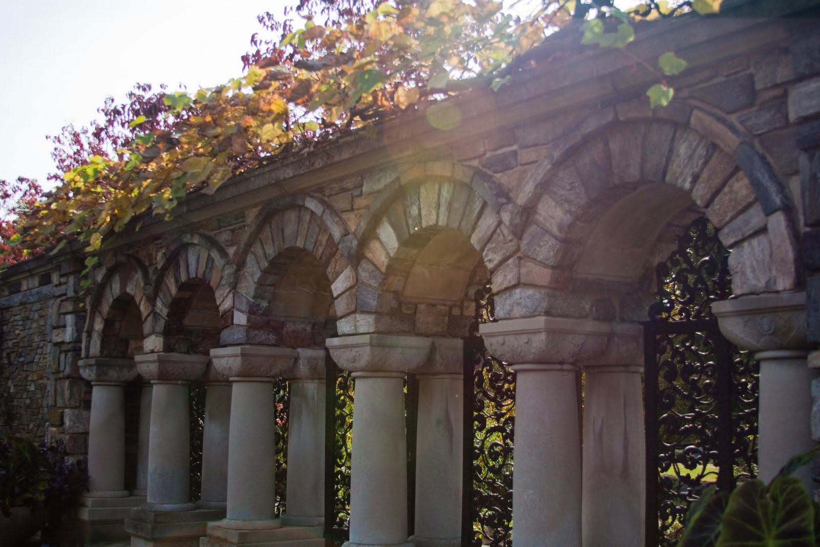 My Musings: Kykuit : The Rockefeller Mansion