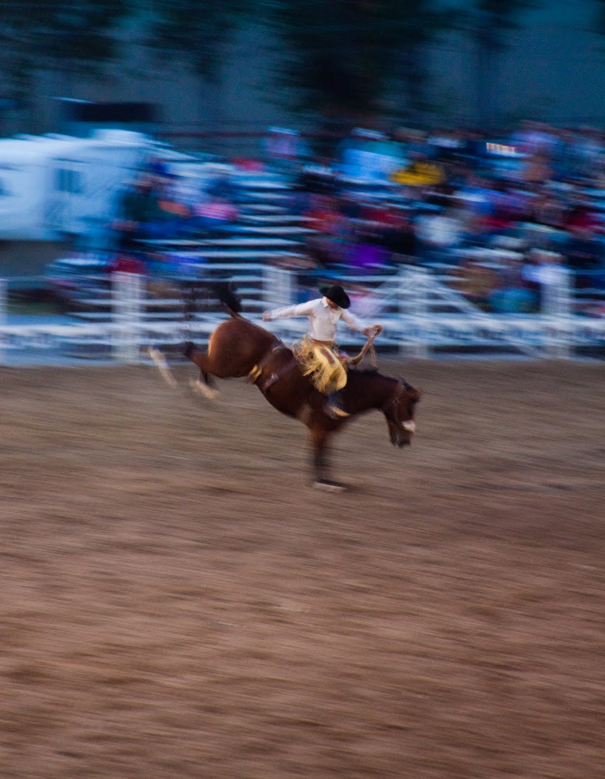 My Musings: Rodeo Season