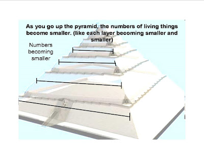 The Eights: pyramid of numbers