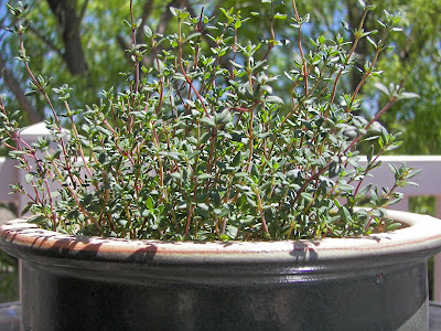 Cooking Light Subscription: Parade Magazine Recipes