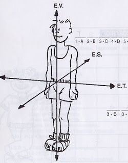Educación Física en Primaria: Ejes corporales del movimiento