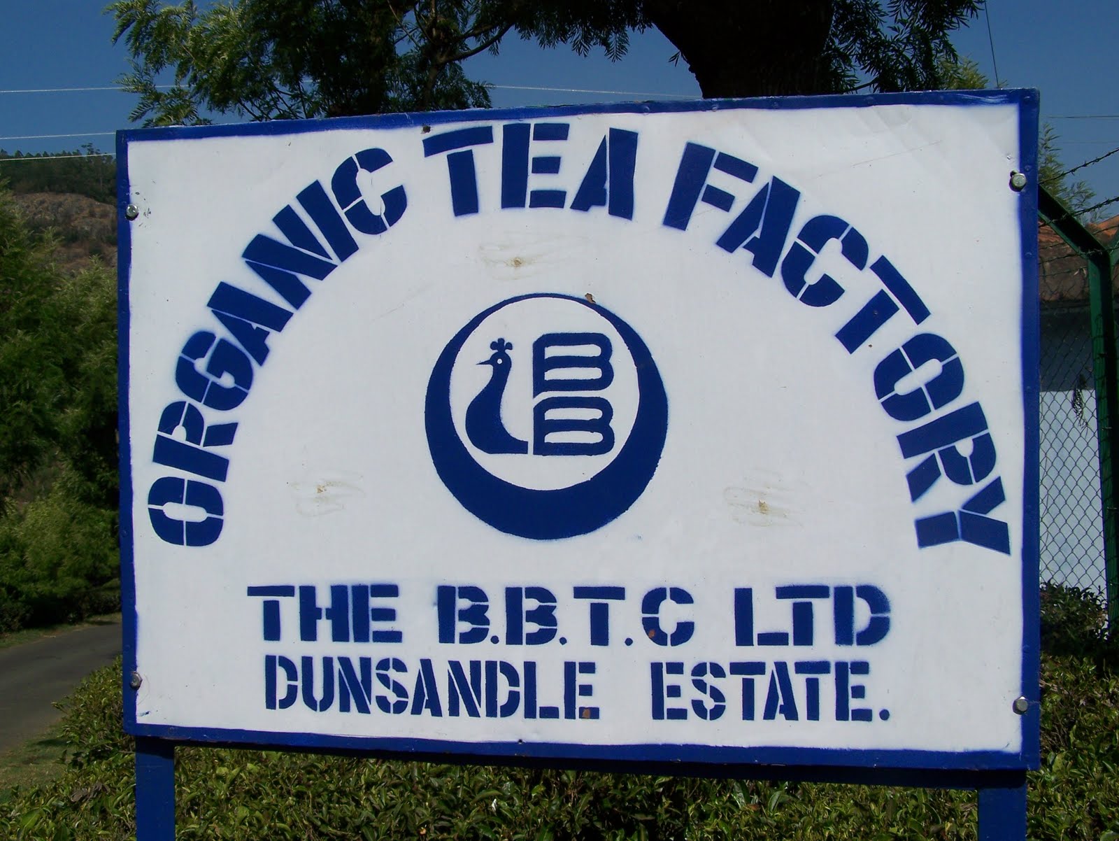 Ooty trip..... Exploring Dunsandle Tea Estate, Coonoor