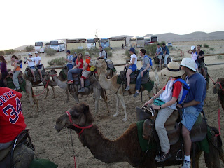 Joy's Blog: Bedouin Tent in the Negev