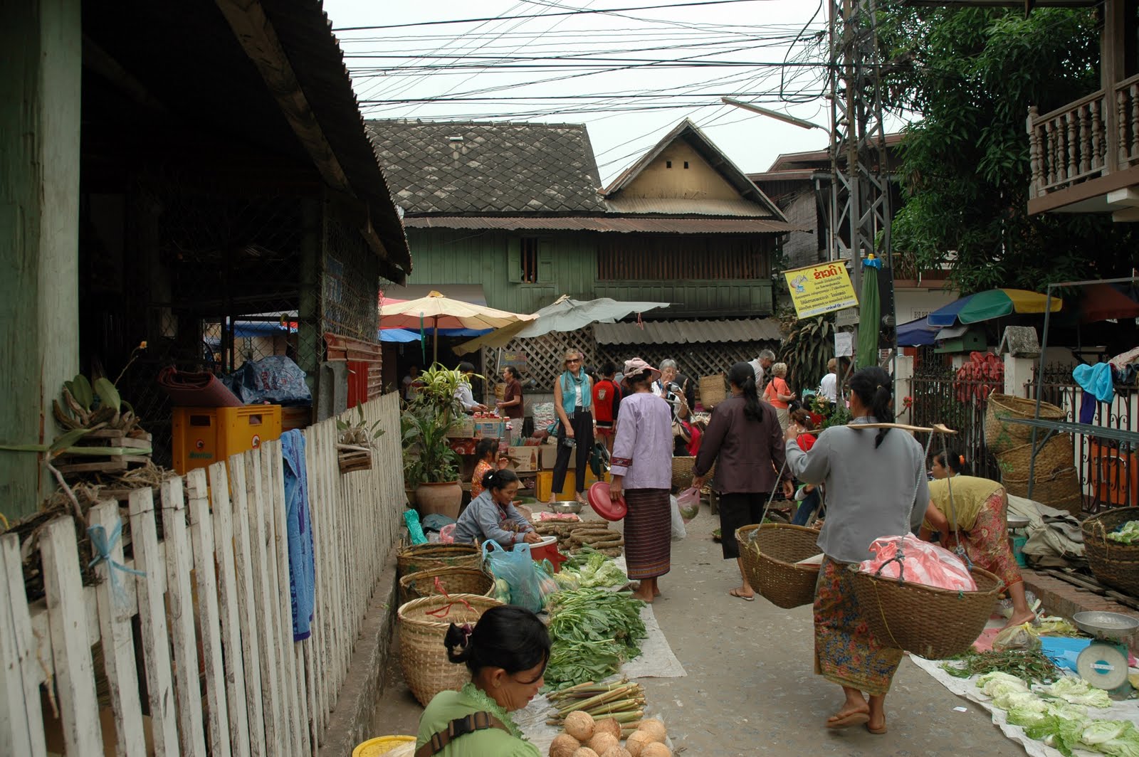 Fotos de mis viajes | Viajes hacia el Este
