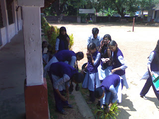 NSS VHSE Kerala: KRGPM VHSS, Kalliassery