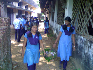 NSS VHSE Kerala: KRGPM VHSS, Kalliassery