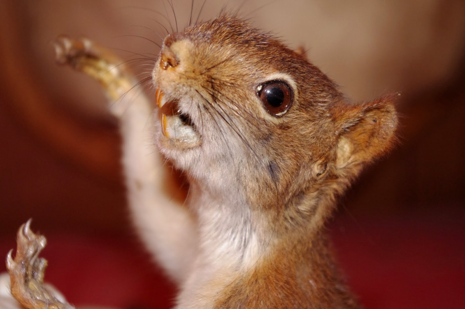 Heather Lucille: wi vacation: dead pals of sam (day 5)