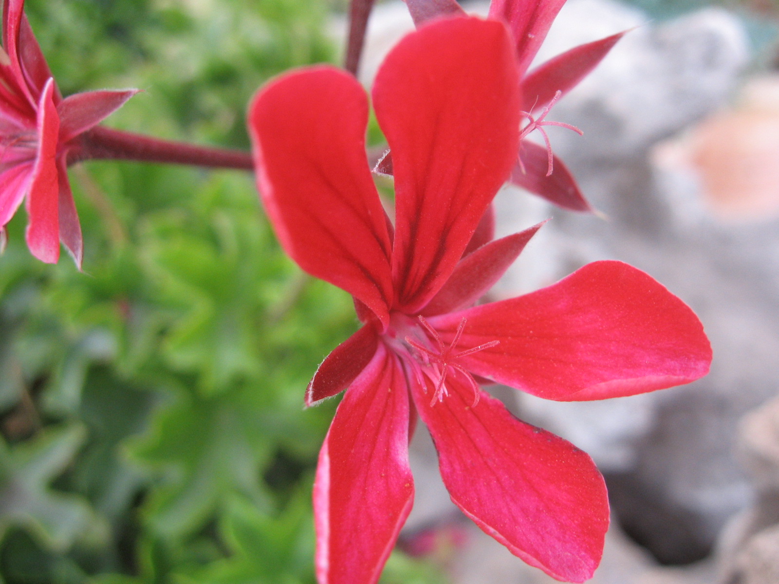 I Wish I Were a Photographer: July 2010