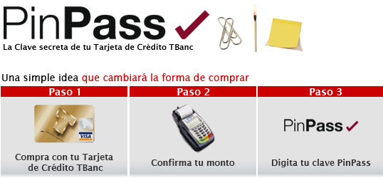 Los intereses tras la implementación del Pin Pass - PL Prensa