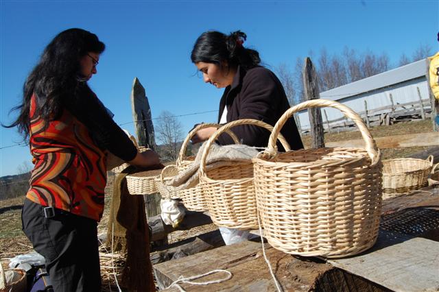 Potencian trabajo de cestería mapuche williche en Quilacahuin - PL Prensa