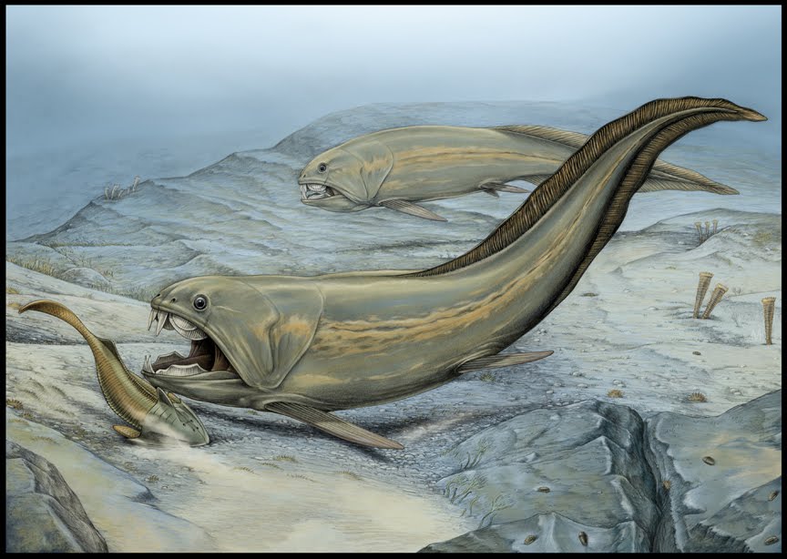 Blog Polygone Studio: DUNKLEOSTEUS