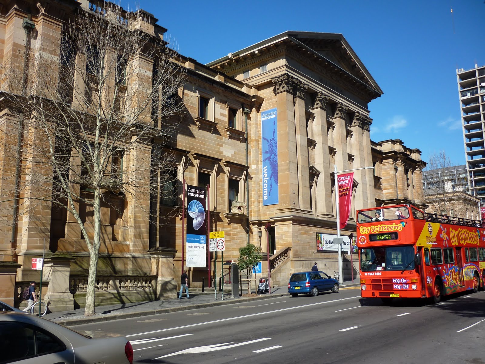Sydney - Australia: Australian Museum