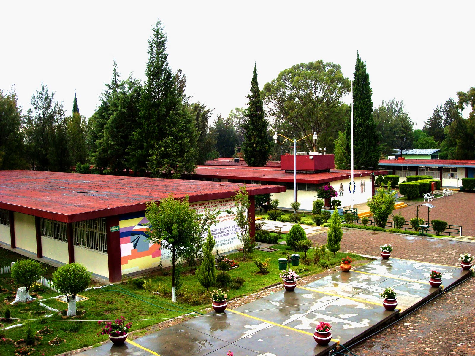 blog de larisa: CBTIS 75 DE DOLORES HIDALGO