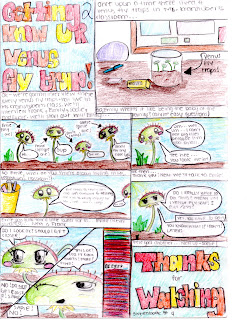 DMS ART: 7th Grade Comics