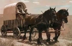 NephiCode: January 2011