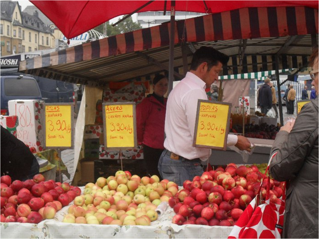 Internship in Finland @ SAMK