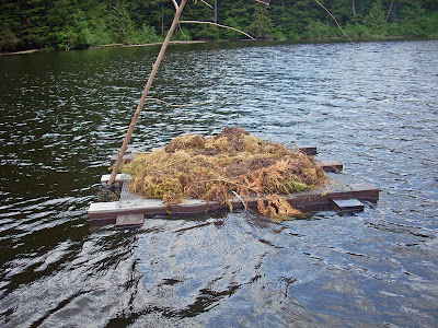 Fly Fishing from Snoqualmie: Calligan Lake, Hancock Tree Farm