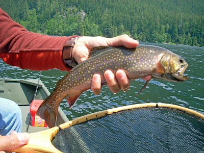 Fly Fishing from Snoqualmie: Calligan Lake, Hancock Tree Farm