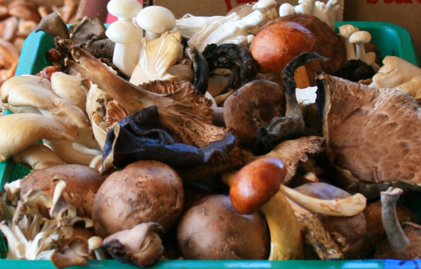 Om Chef : L.A. Funghi, the Magic of Mushrooms