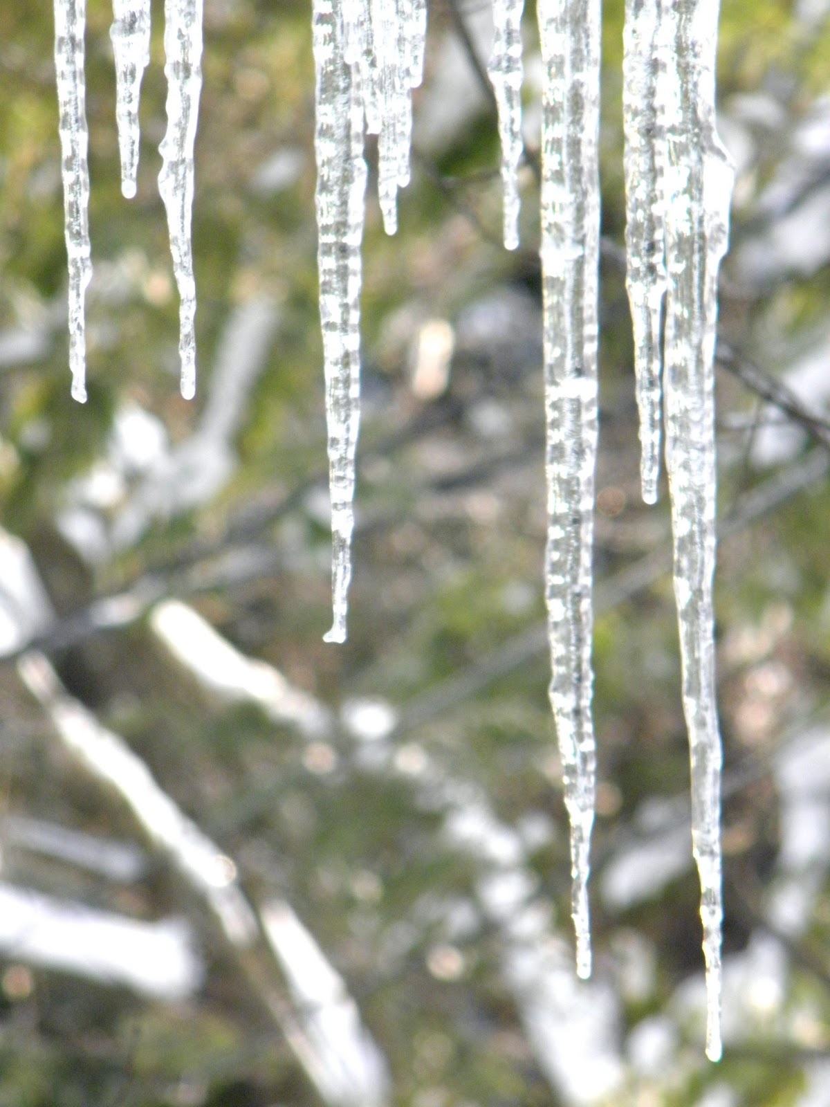 Paper Vernissage: Icicles and More Snow