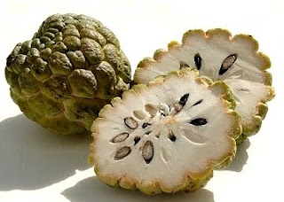Atis: A potent healer of fever and colds ~ Cebuano Herbsman
