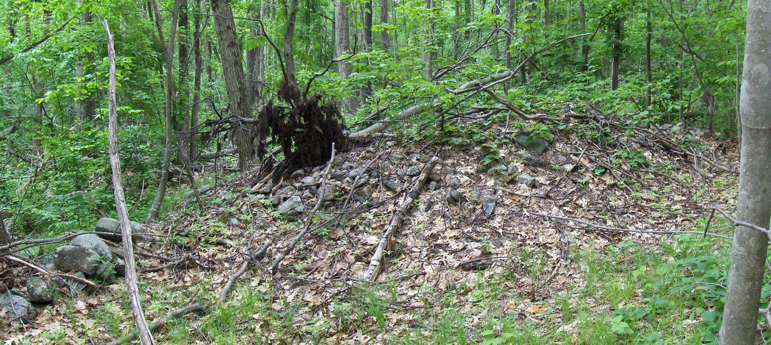 Rock Piles: Wall corner pile from field clearing, but a little peculiar