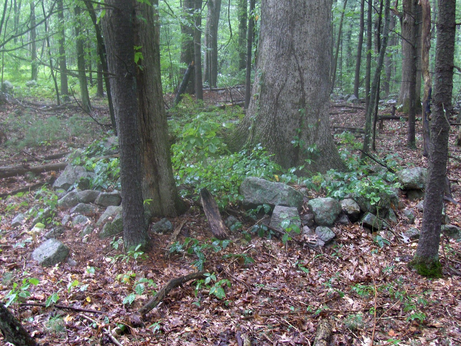 Rock Piles: Edges of Foxborough State Forest