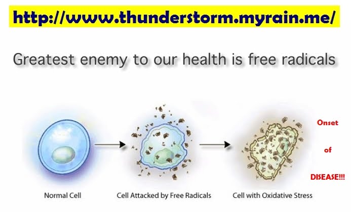 COMBAT DISEASE-CAUSING FREE RADICALS - THE ANTIOXIDANT-RICH SUPER-JUICE ...