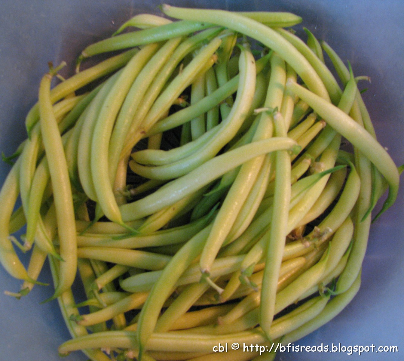 Beth Fish Reads: Weekend Cooking: Review: The Asian Barbecue Book by ...