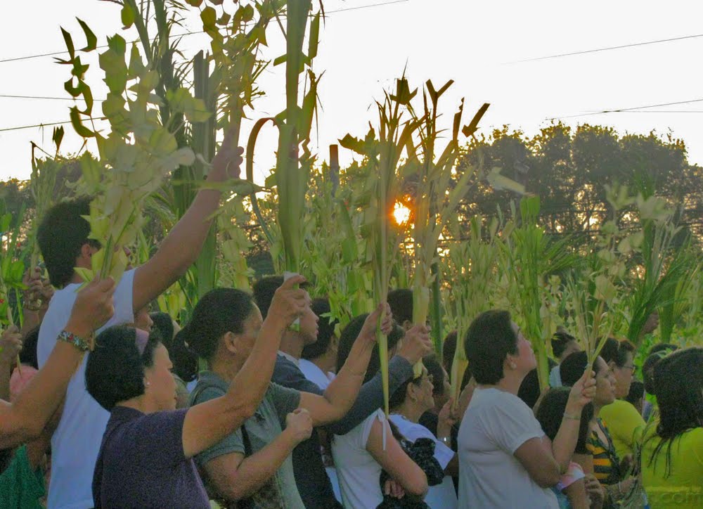 Reyjr.com: Living Batangueño: Palaspas (Palm Sunday)