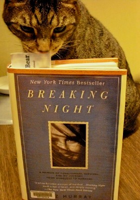 Grab A Book From Our Stack: "Breaking Night--From Homeless to Harvard ...