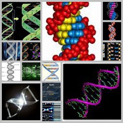Biometal