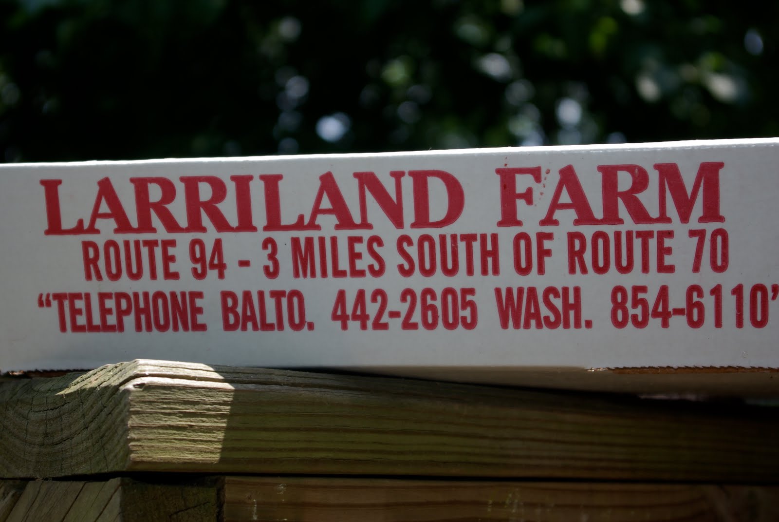 The Tregs: Strawberry Picking @ Larriland Farms