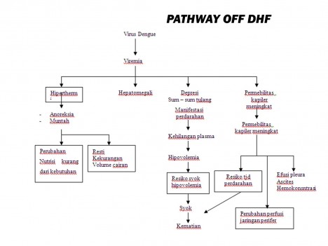 Pathway DHF