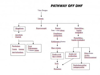 Pathway DHF