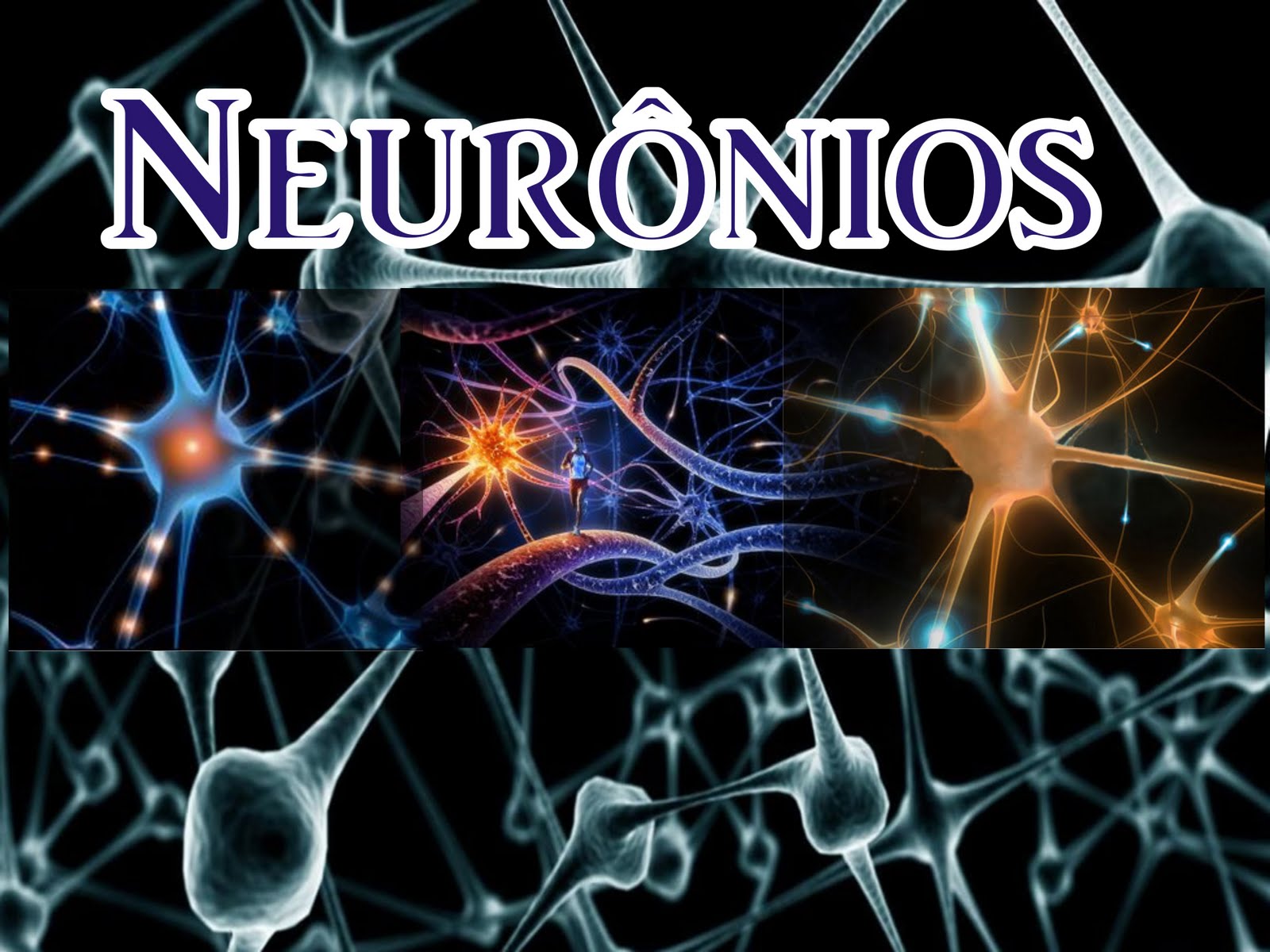 Célula Interdisciplinar: Neurônios