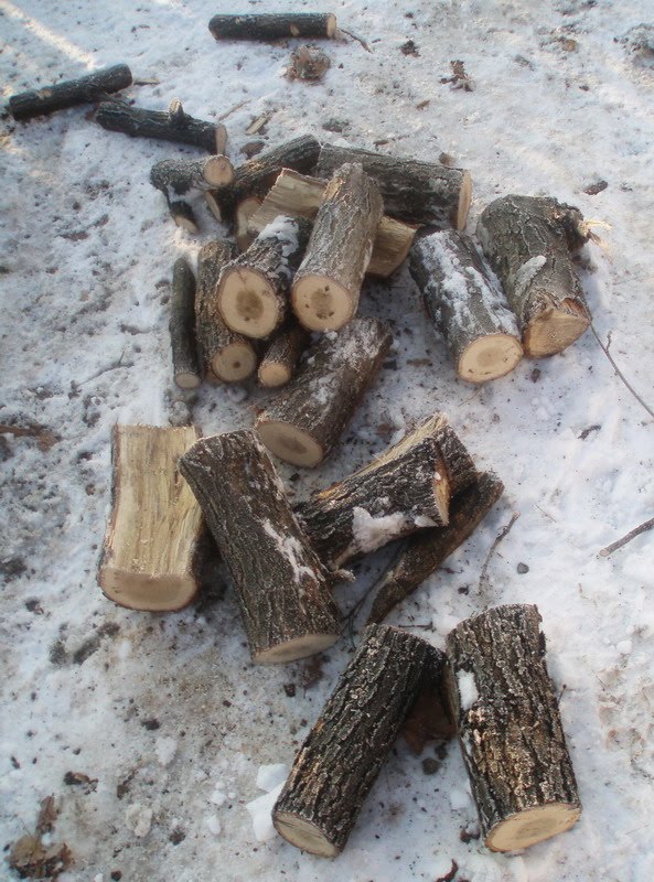 Blogul Simonei: Lemne. Poze