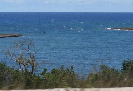 Fotos Mariel: Fotos Mariel