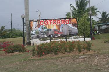 Fotos Cotorro: Fotos Cotorro