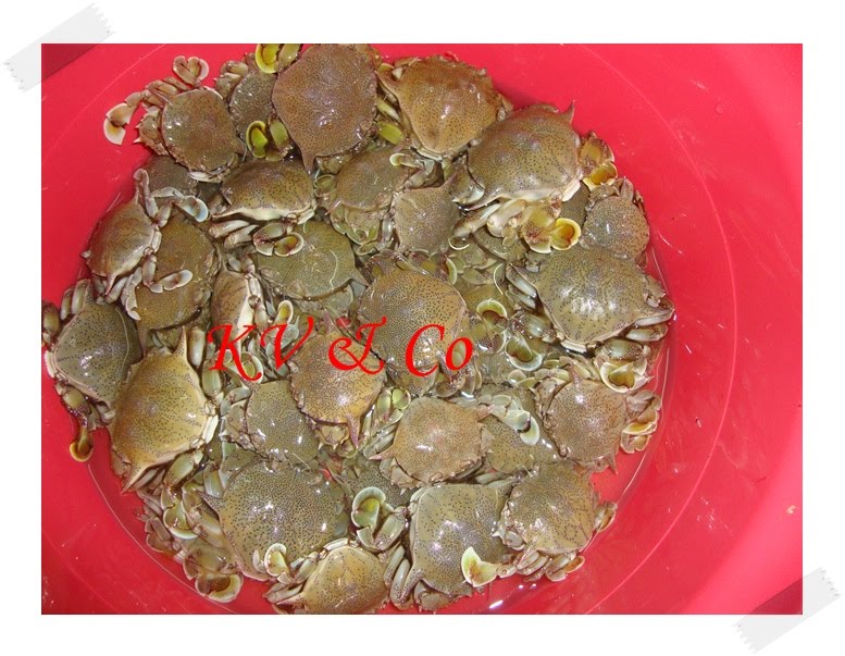 KV & Co: TANGKAP KETAM