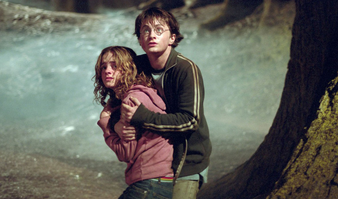 The Single-Minded Movie Blog: Wrapping Up The Harry Potter Revisit Project