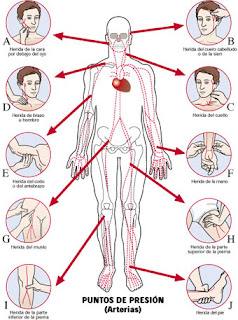Primeros auxilios: Hemorragias