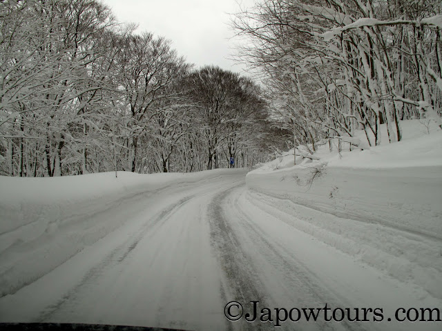 Japow Tours: Photos