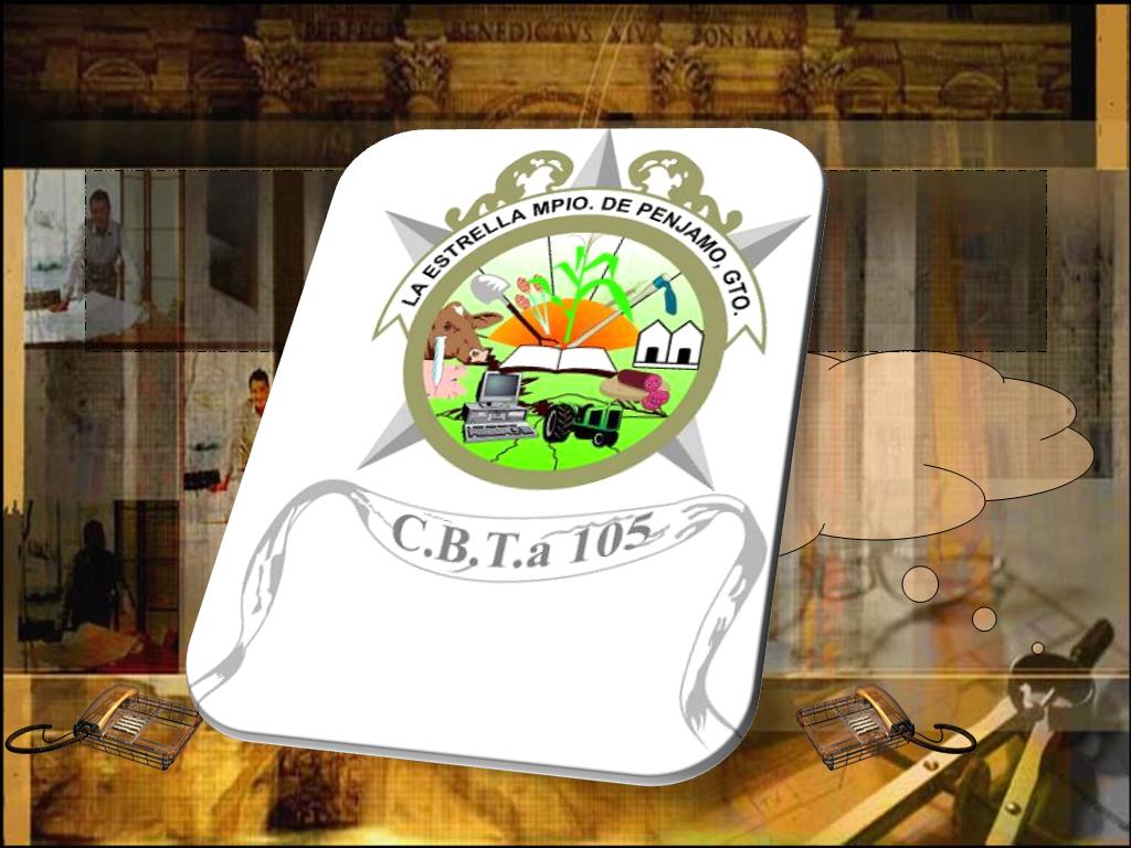 CBTa 105 - Informate - Ambiente: Regreso