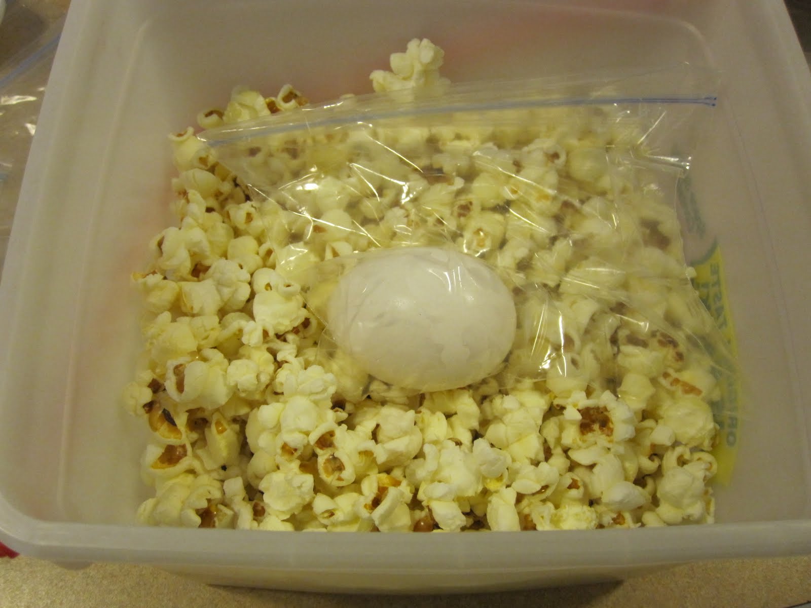 The Fruit of Her Hands: Download N Go - Roller Coasters!!