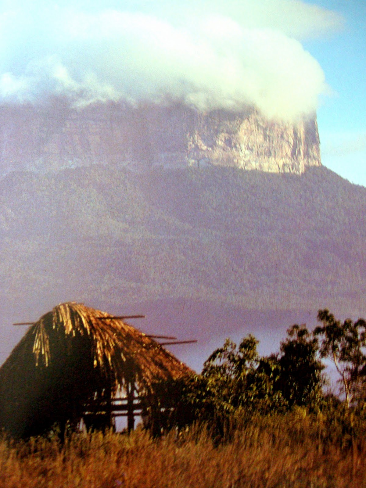 OPINIONES Y HECHOS: CANAIMA. CRONICA DEL MUNDO PERDIDO DE DOYLE