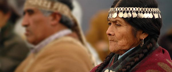 Cultura Mapuche: Gente de la Tierra: Lengua