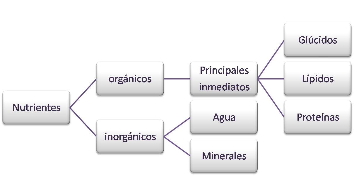 Biología: COMPOSICIÓN QUIMICA DE LOS SERES VIVOS